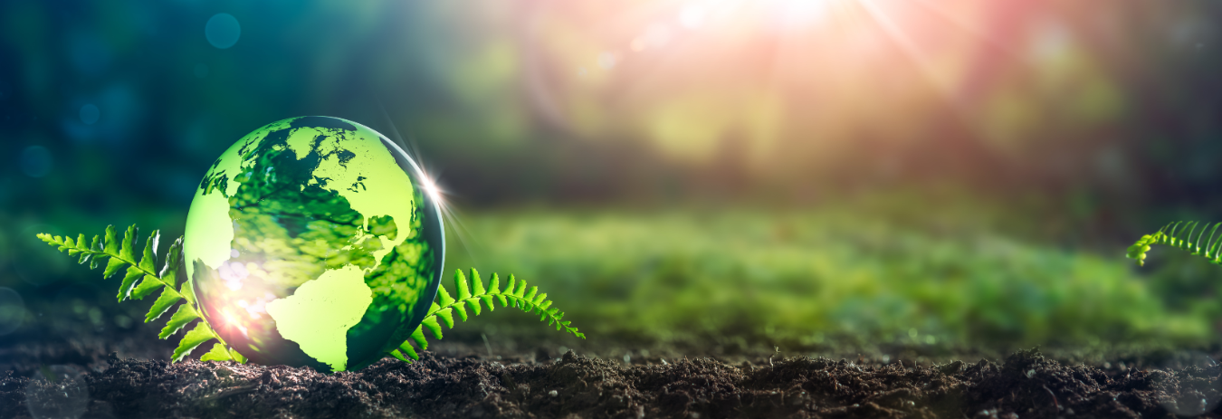 Eco-Friendly & Sustainable Products For Your Home | EarthCo